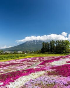 Mt. Yotei (羊蹄山) - Sightseeing Japan