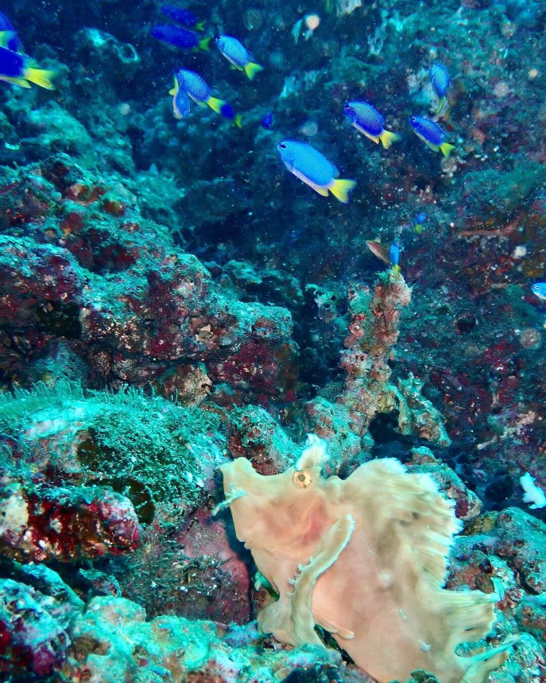 Kashiwa-jima Island - Sightseeing Japan