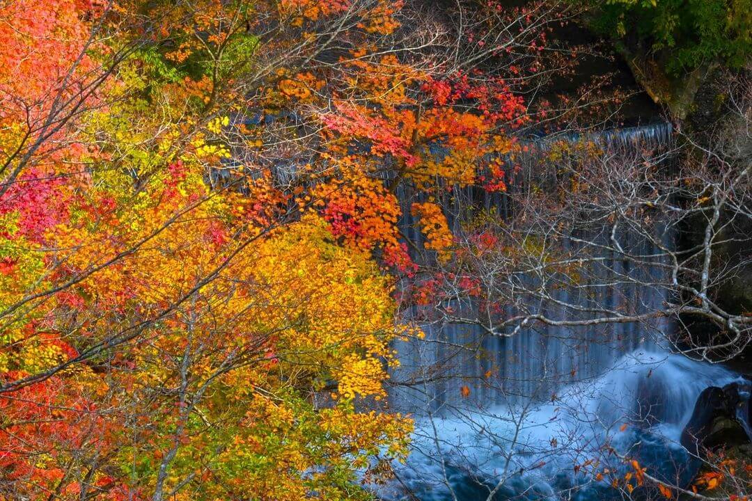 Naruko Gorge (鳴子峡) - Sightseeing Japan