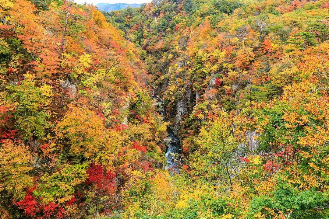 Naruko Gorge (鳴子峡) - Sightseeing Japan