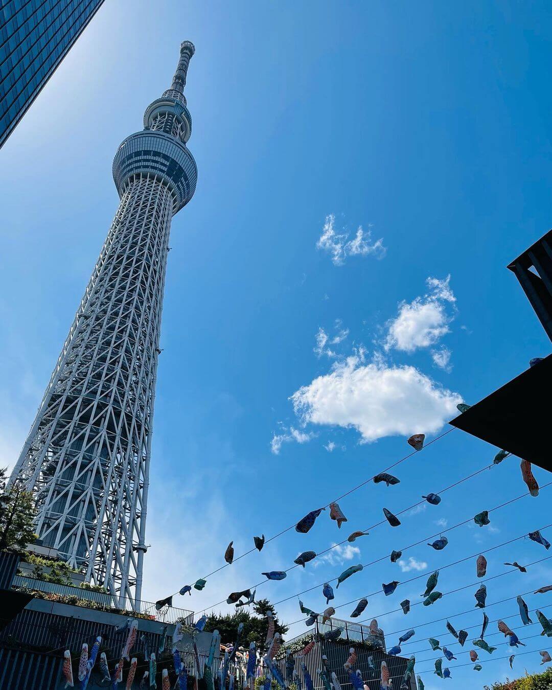 Visit the must-see places in Tokyo in 3 (to 5) Days - Sightseeing Japan
