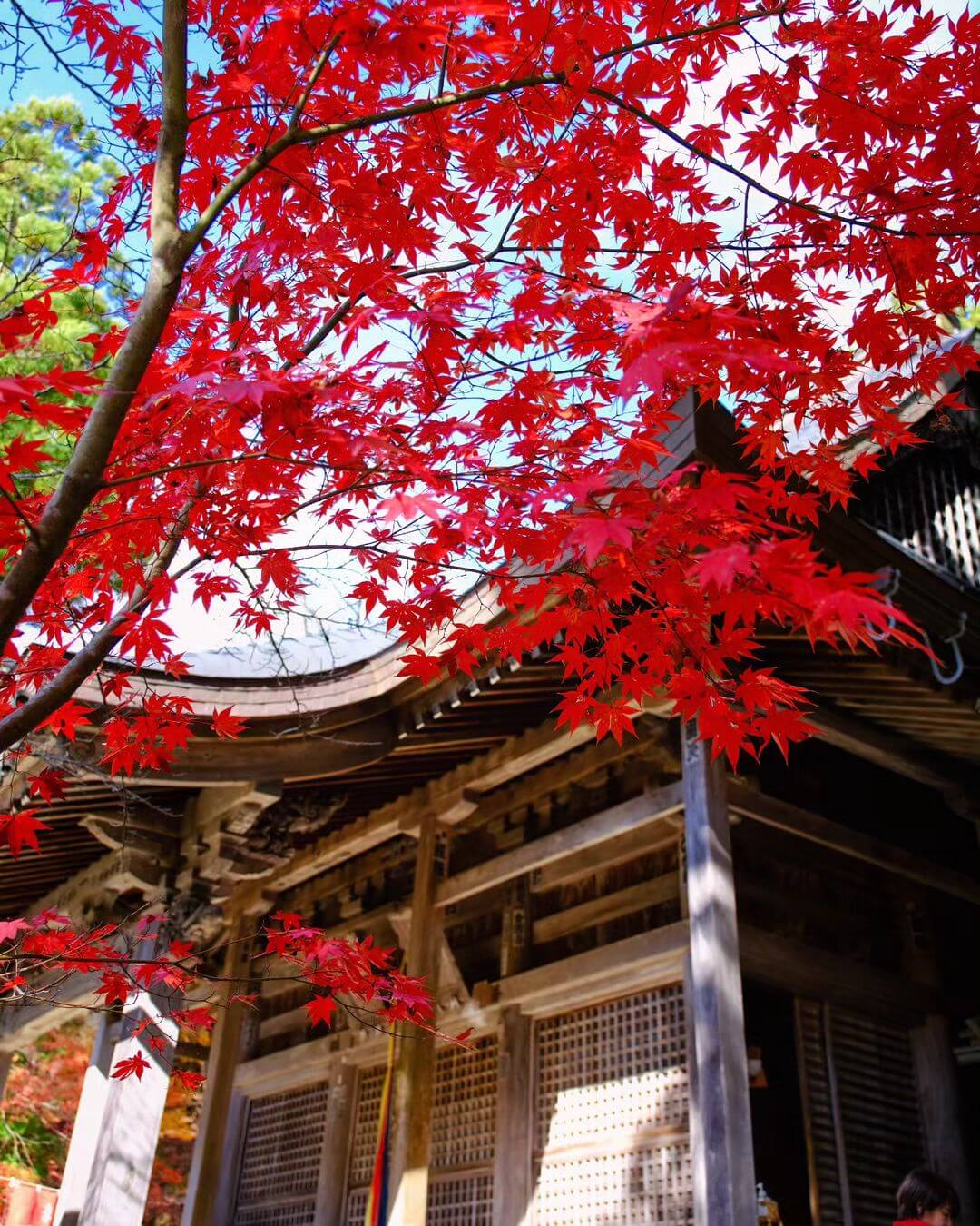 Keisoku-ji Temple - Sightseeing Japan